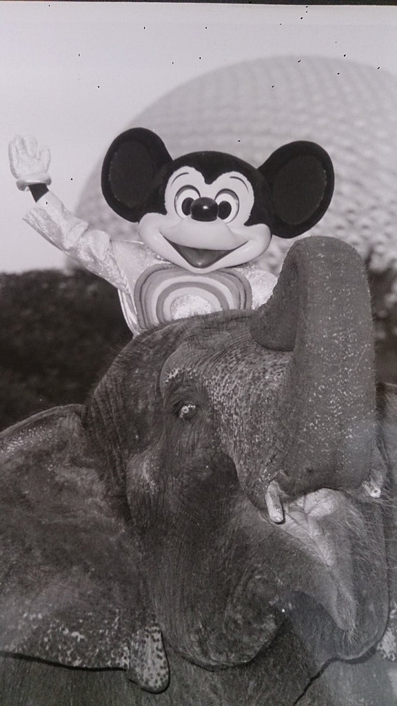 Mickey On Elephant Epcot Center 1987 Opening Of The Circus Spectacular ...