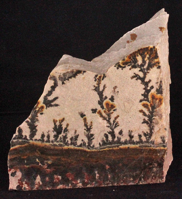 Dendrite Slab Specimen, Over 40 Million Years Old, Utah. – Roadshow ...